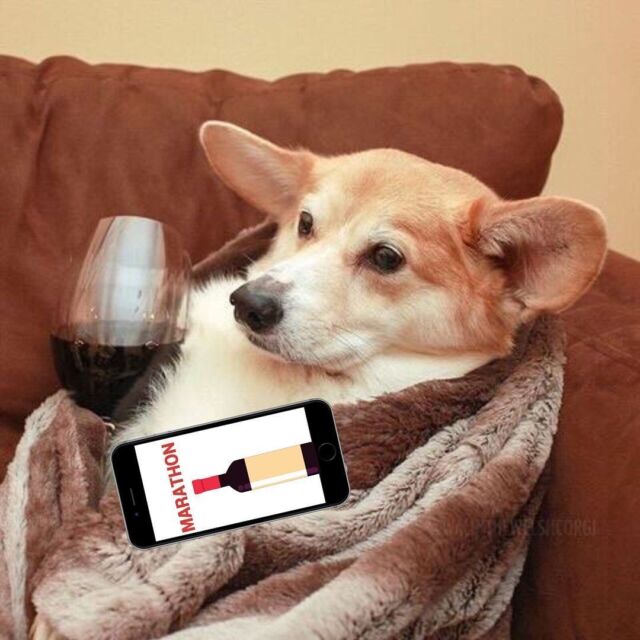 Drinking Wine Meme